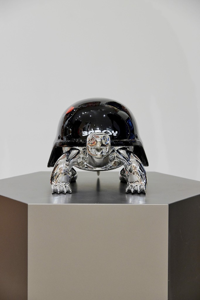 Fashion Turtle - CJS Gallery