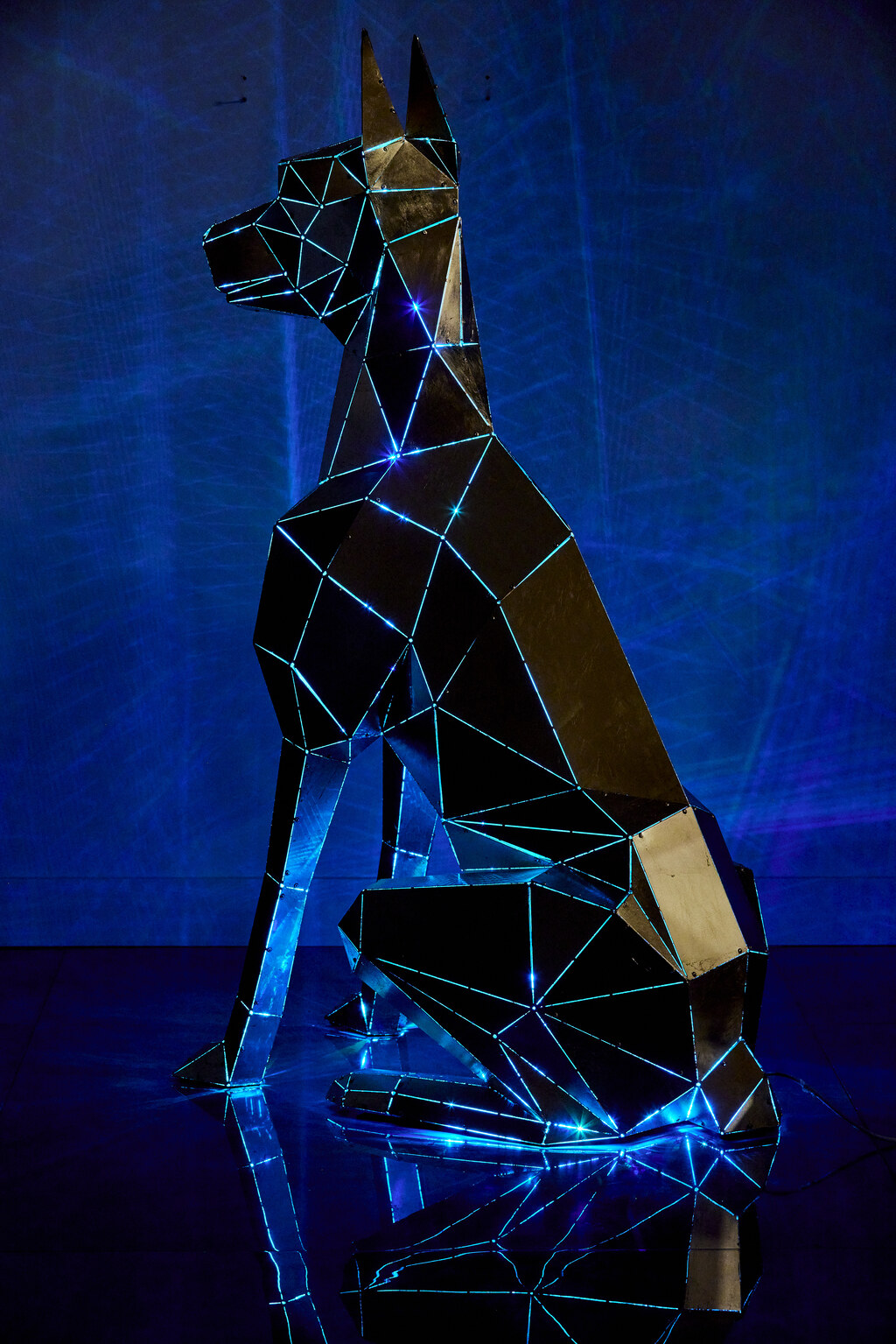 Golden Doberman - CJS Gallery