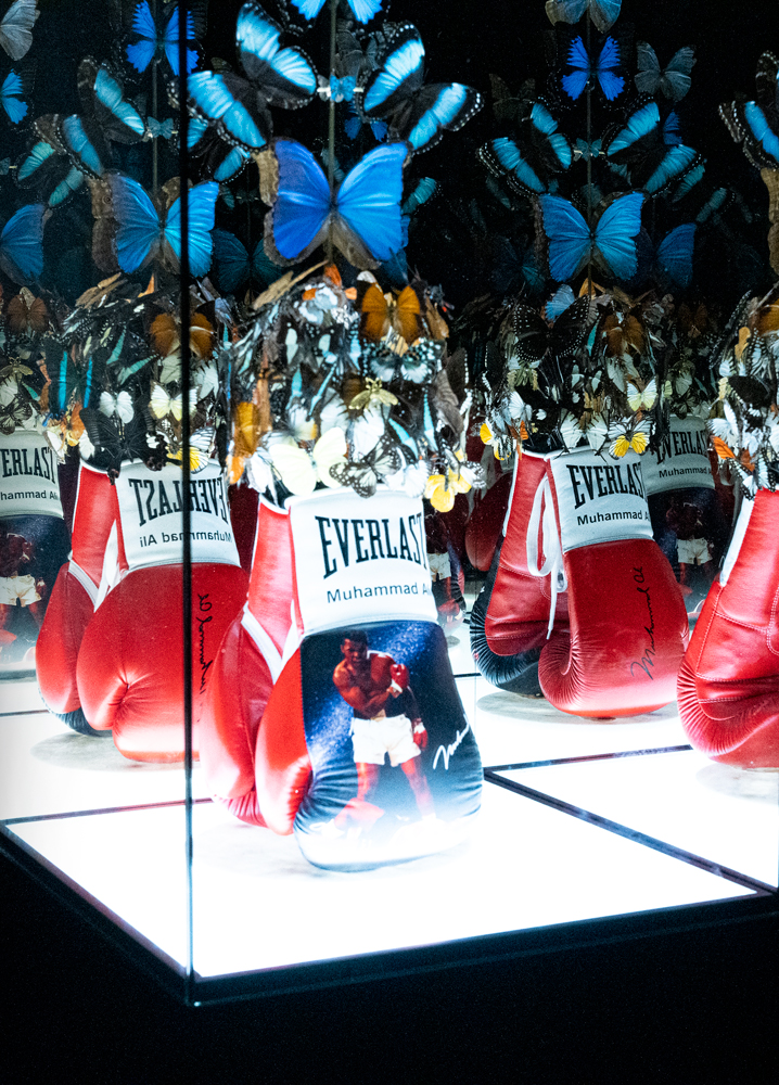 Muhammed Ali Butterfly