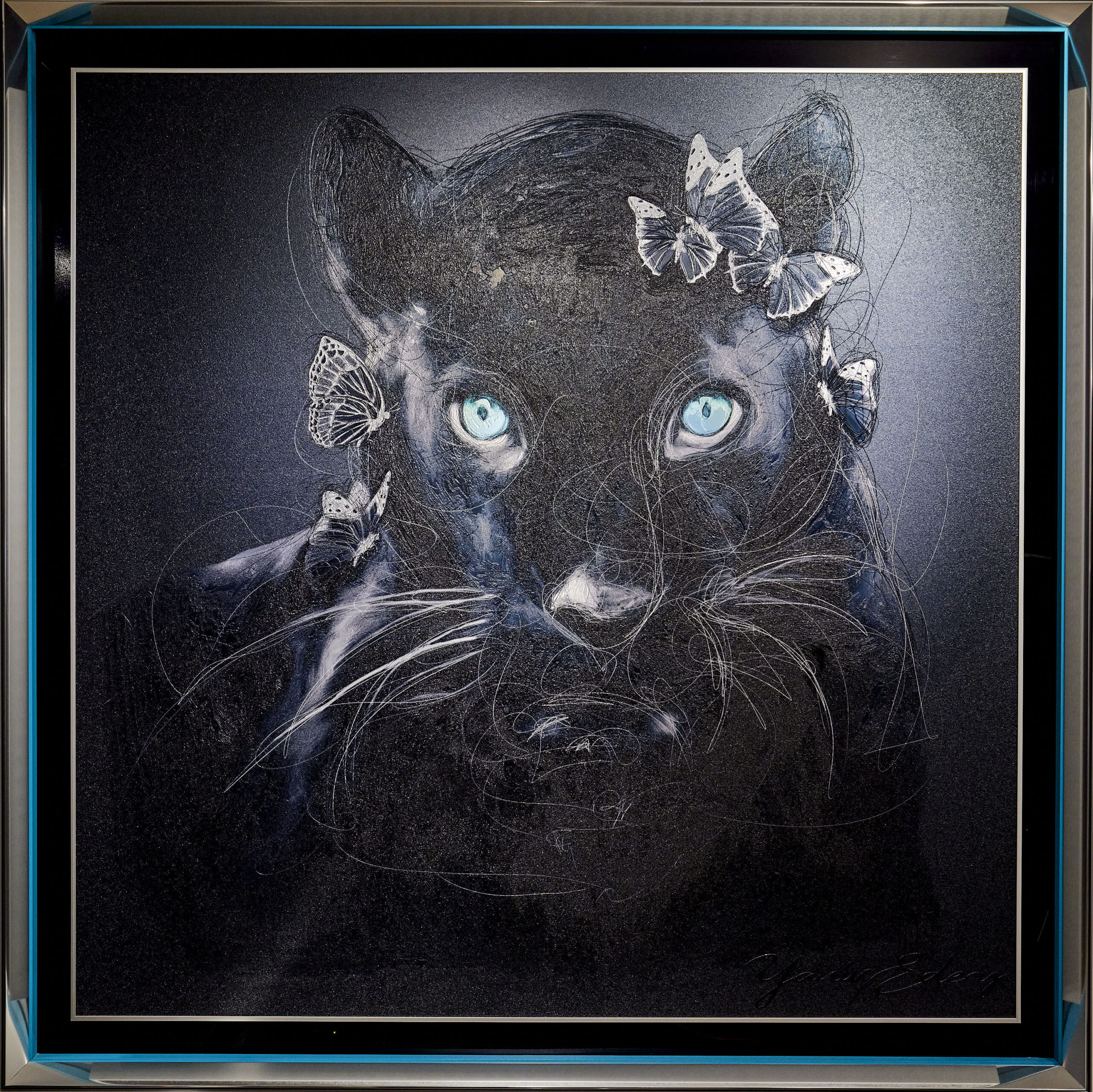 Black Panther Butterfly - CJS Gallery