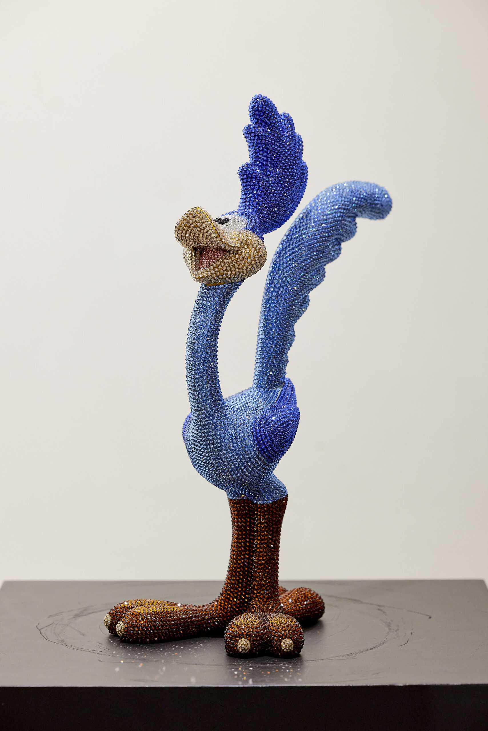 Roadrunner - CJS Gallery